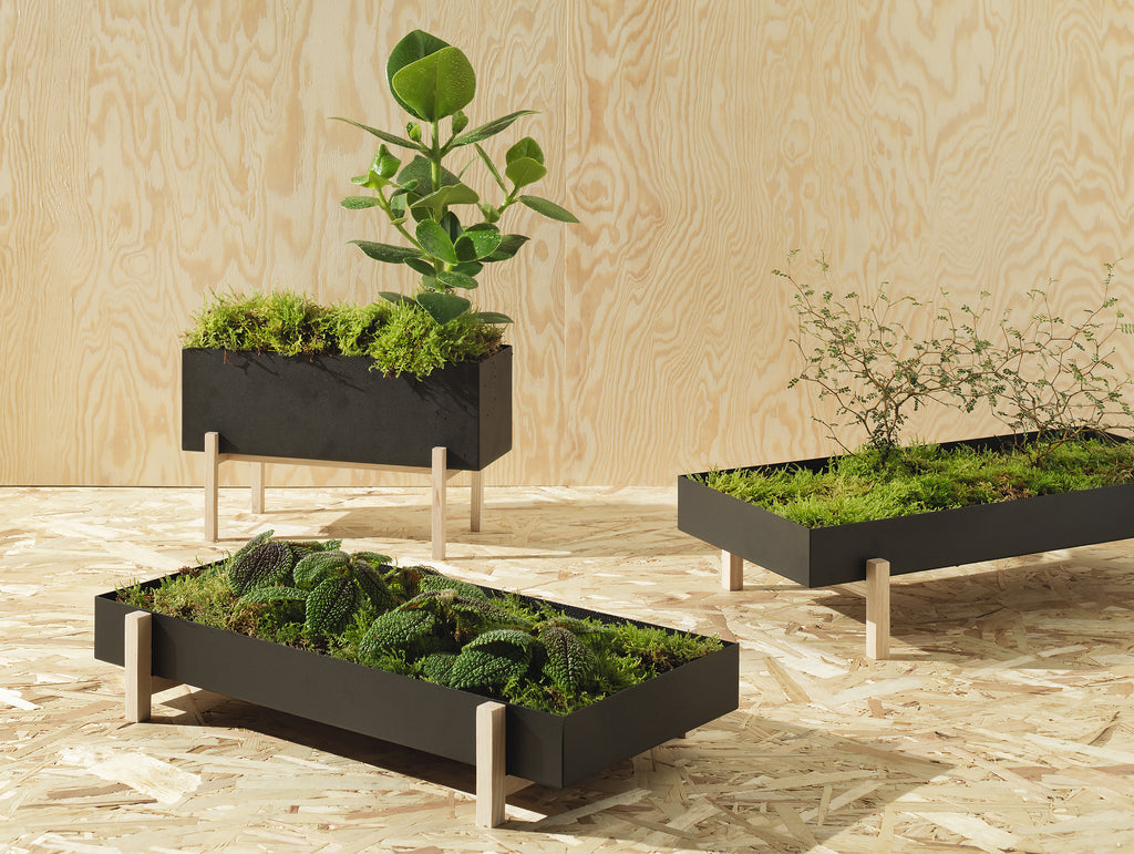 Botanic Box by Design House Stockholm · Really Well Made