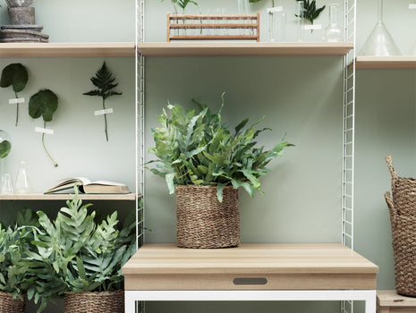 String System Folding Table by String · Really Well Made